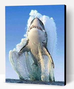Great Shark Animals Paint By Numbers - Paint By Numbers PRO