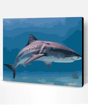The White shark Animals Paint By Numbers - Paint By Numbers PRO