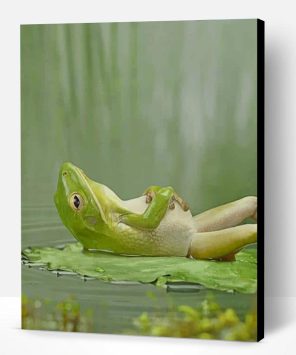 Frog Laying On A Lily Pad NEW Paint By Numbers - Paint By Numbers PRO