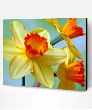Aesthetic Daffodils Paint By Numbers - Paint By Numbers PRO